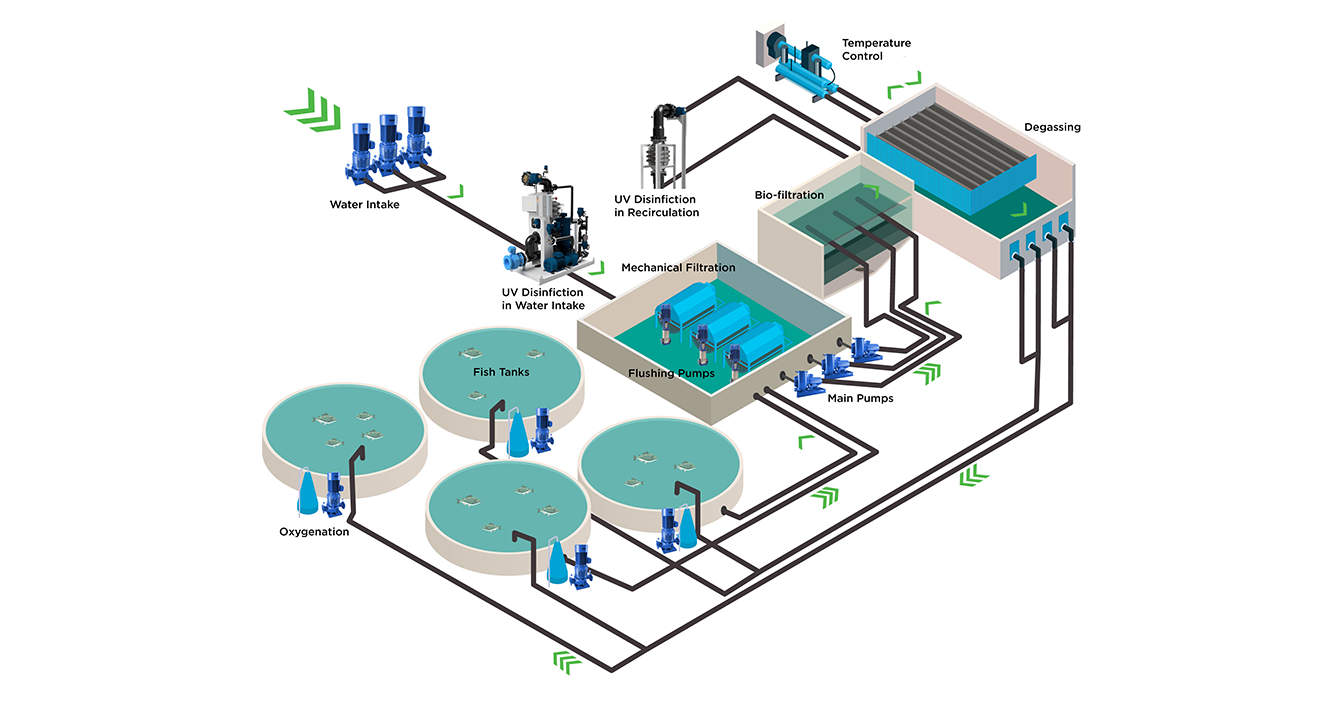 Fish Farming Diagram